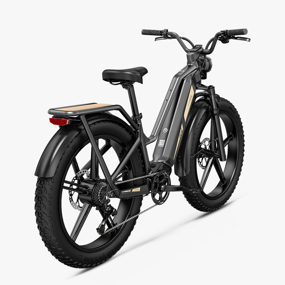 Fiido Titan - 400km ultra-long range Fat Tire Ebikes